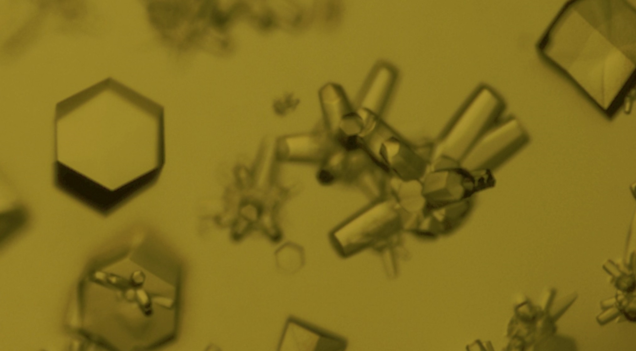 Thompson Lab @ UC Merced